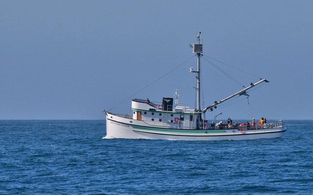 Newsroom – Western Flyer Foundation