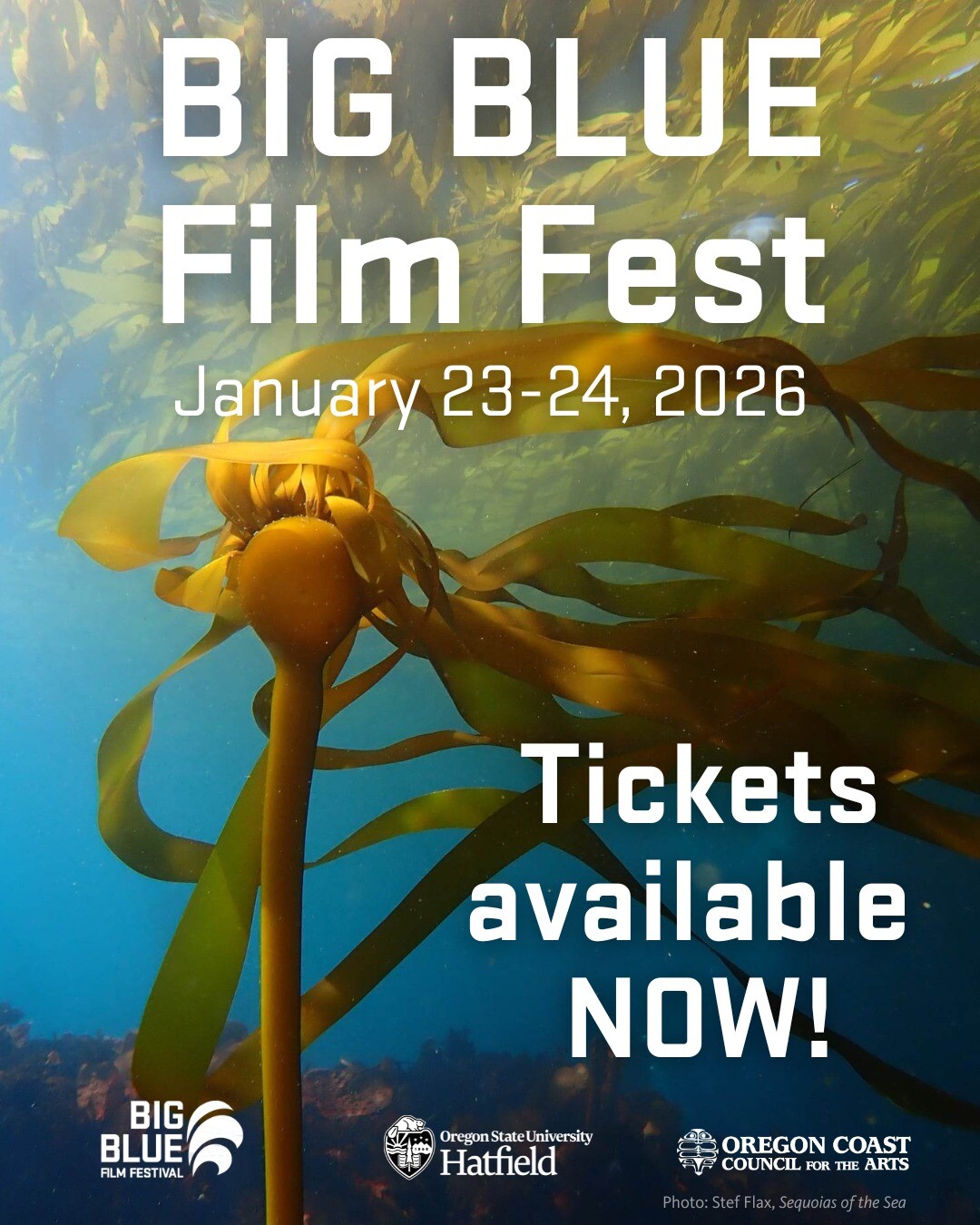 Award-Winning Film to Screen at Big Blue Film Fest as Western Flyer ...