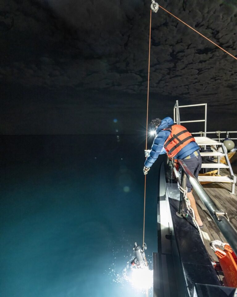 Western Flyer Foundation Selects Four Mexican-Led Marine Research ...